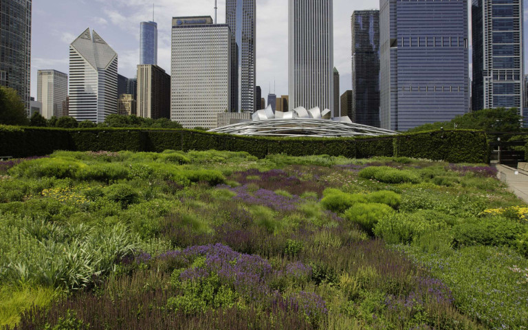 Explora el Parque del Milenio de Chicago | EnjoyIllinois | Disfruta de ...