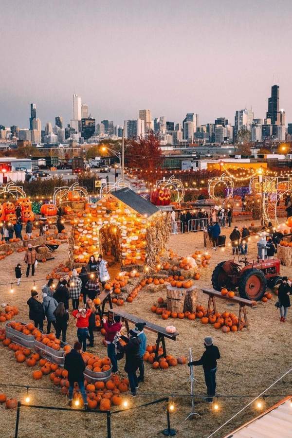 Chicago embrujada | Itinerario de 3 días en Chicago | Disfruta de ...