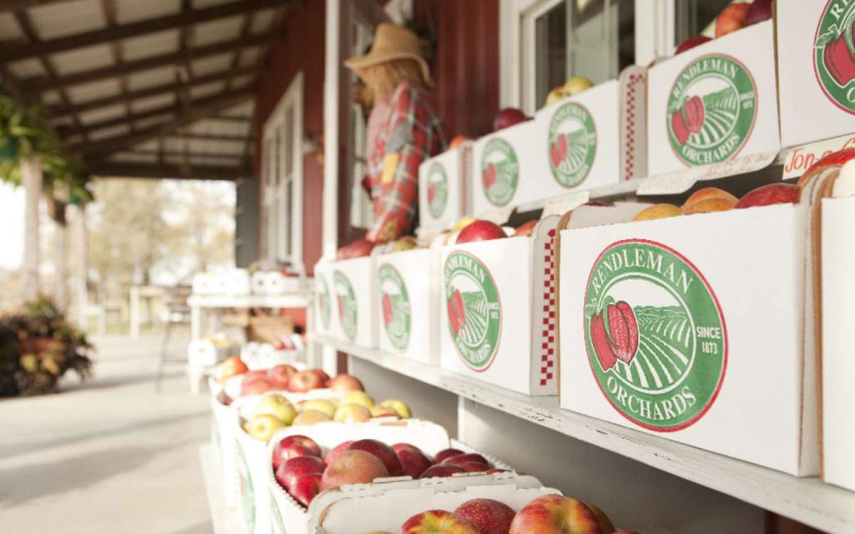 Fresh Picks: Recogida de manzanas en Illinois | Enjoy Illinois