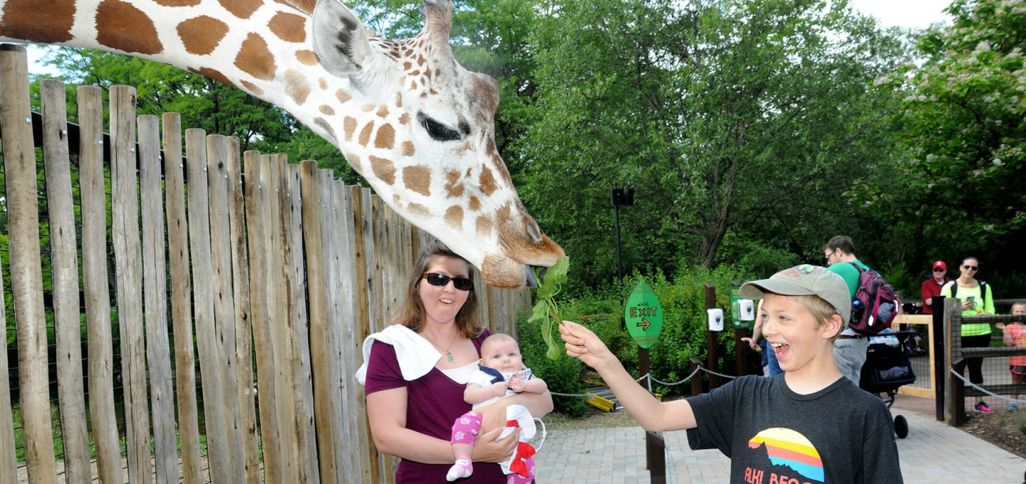 Visita Oak Park | Itinerario de 3 días | Enjoy Illinois