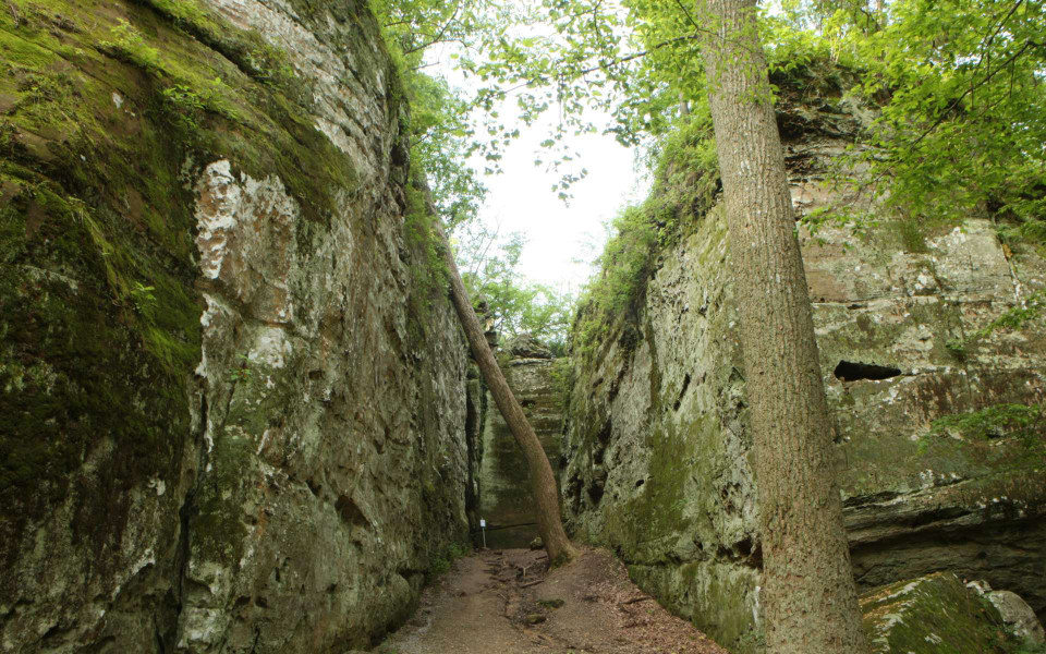 Giant City State Park | Disfruta Illinois