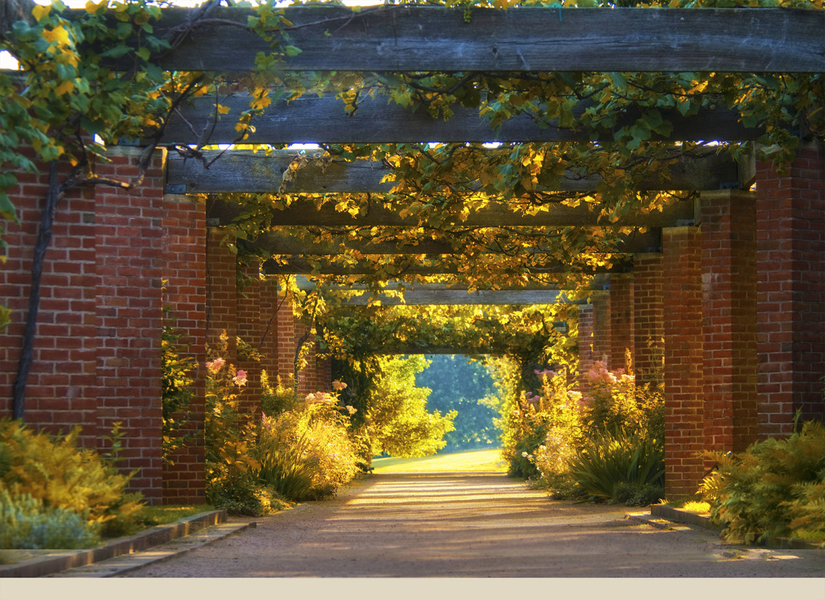 Museos imprescindibles de Chicago | Enjoy Illinois